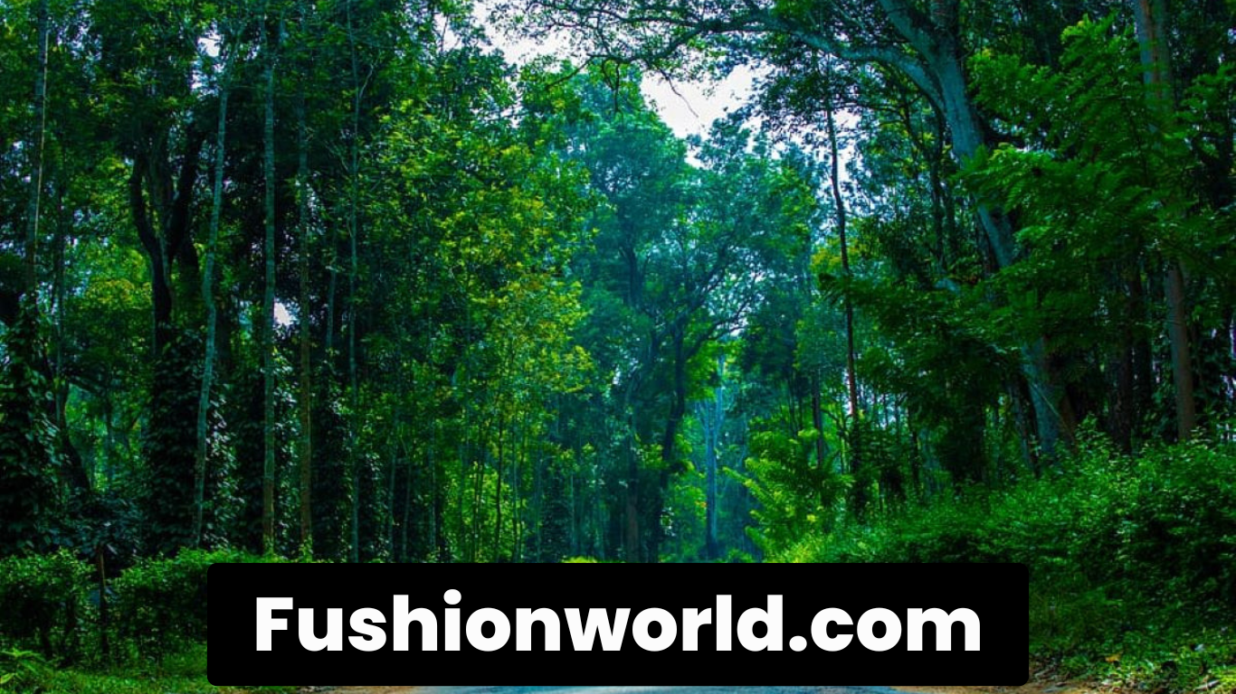 Reaching From Indian Silicon Valley To Biodiversity Hotspot Bangalore ...